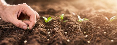 Public Buy-Out Offer | Teract